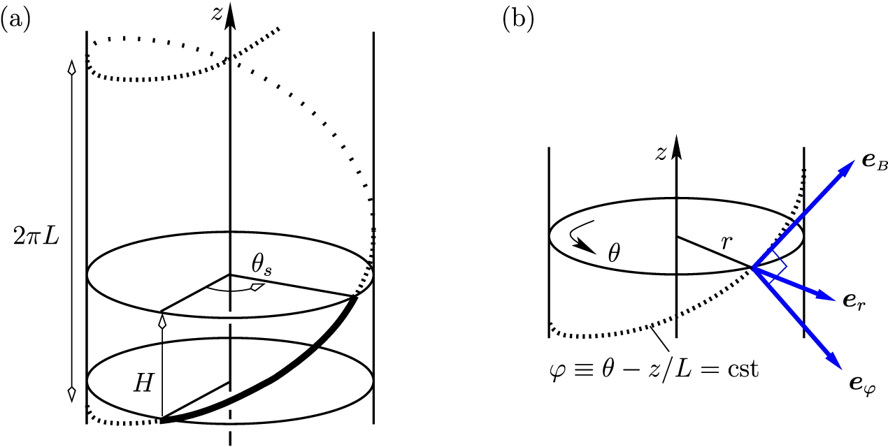 Helical vortices: linear stability analysis and nonlinear dynamics ...