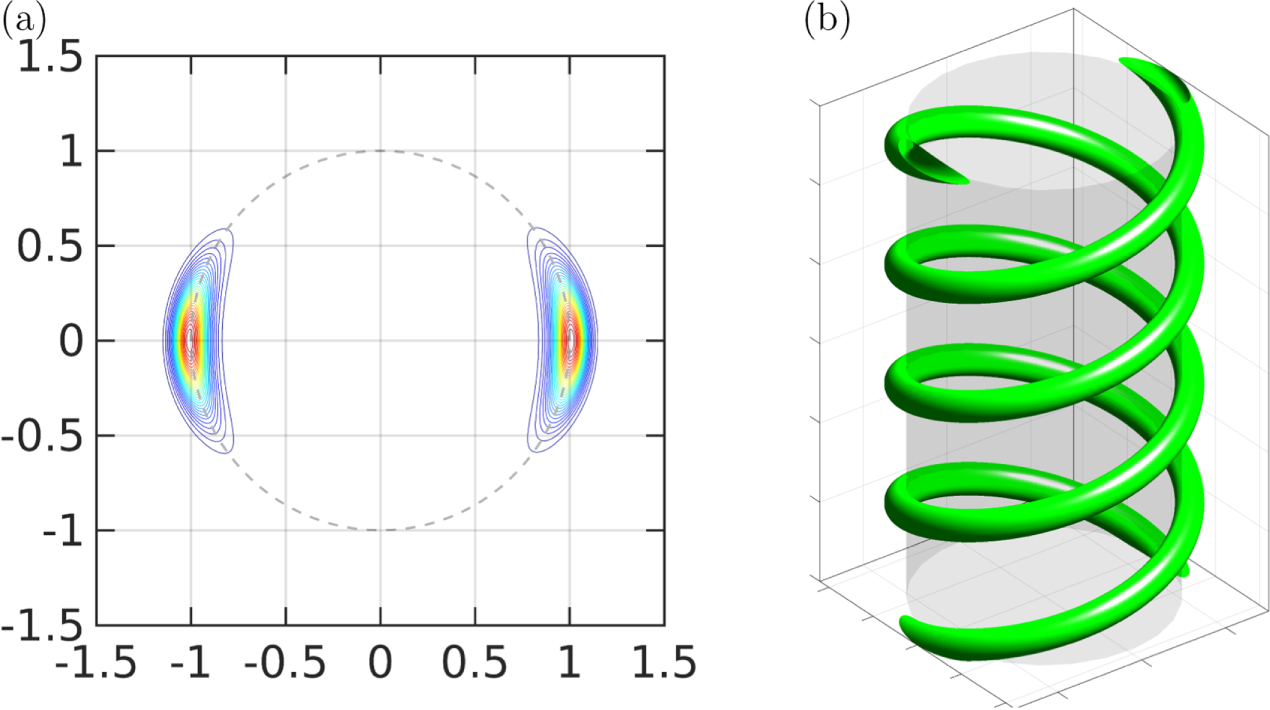 Helical vortices: linear stability analysis and nonlinear dynamics ...