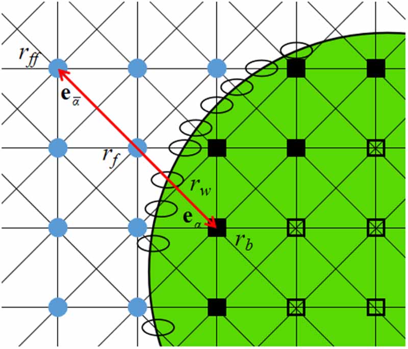 Hydrodynamic behavior of Janus particles in a finite inertial flow ...