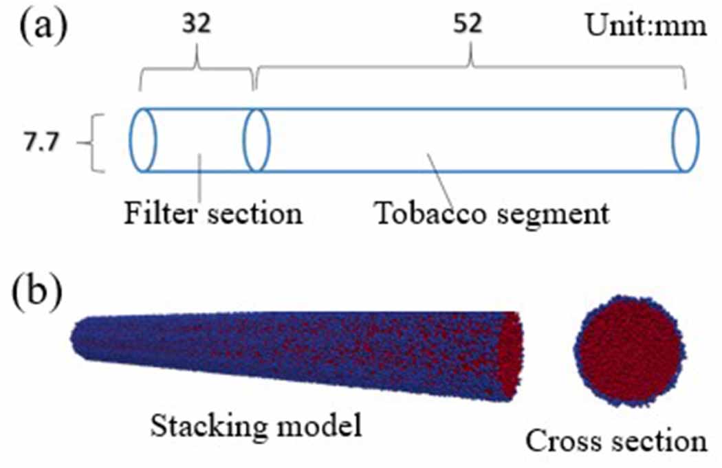 Construction of a numerical model for cigarette smoking and combustion ...