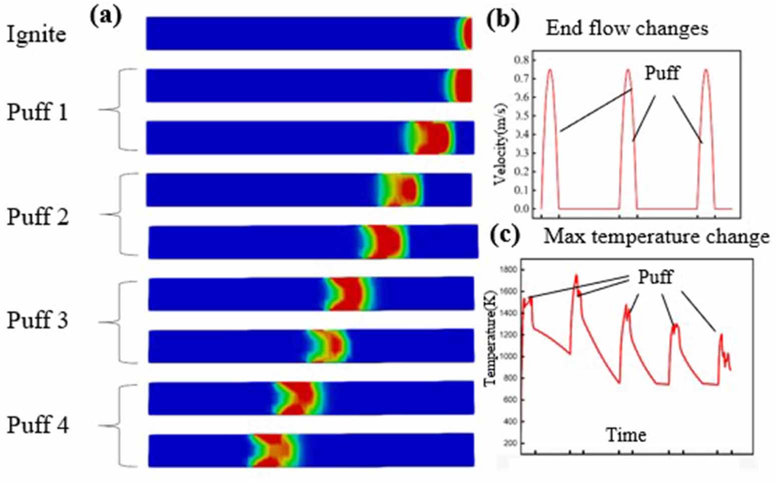 Construction of a numerical model for cigarette smoking and combustion ...