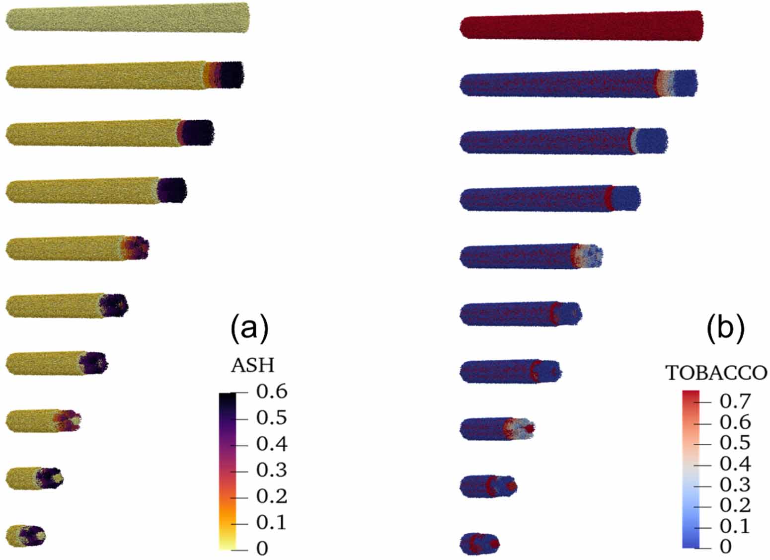 Construction of a numerical model for cigarette smoking and combustion ...