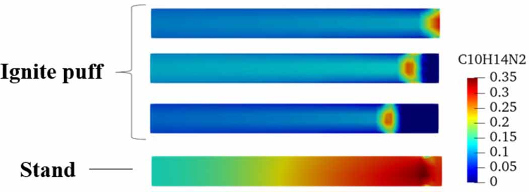 Construction of a numerical model for cigarette smoking and combustion ...