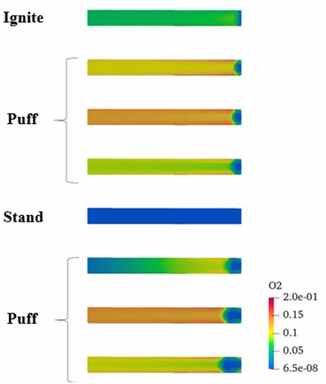 Construction of a numerical model for cigarette smoking and combustion ...