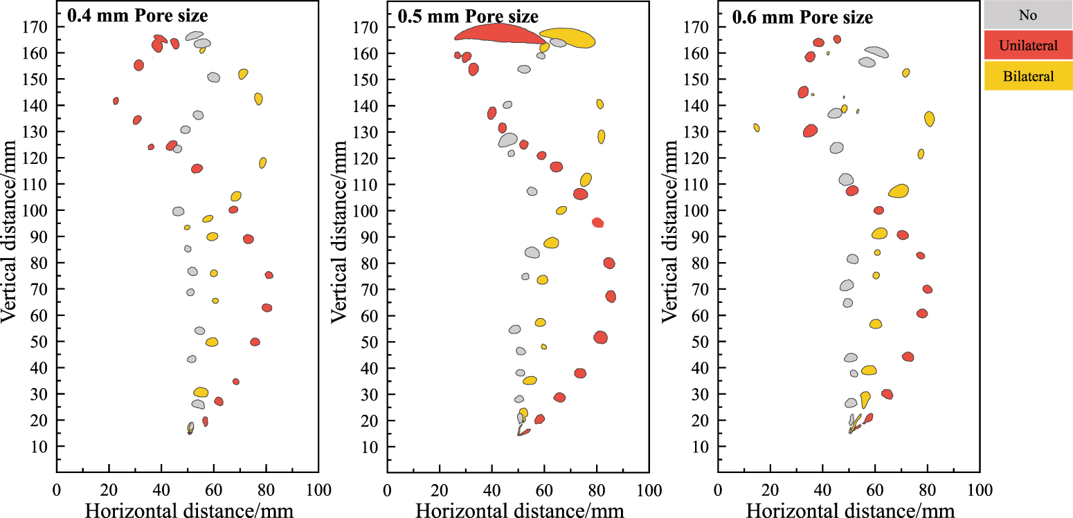 Simulation of movement behavior of flotation bubbles under ultrasonic ...