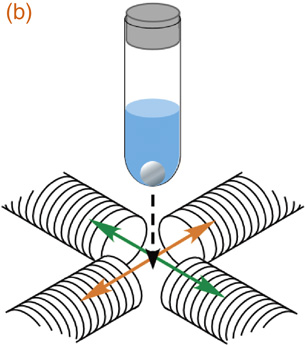 Accurate and fast creep test for viscoelastic fluids using disk-probe ...