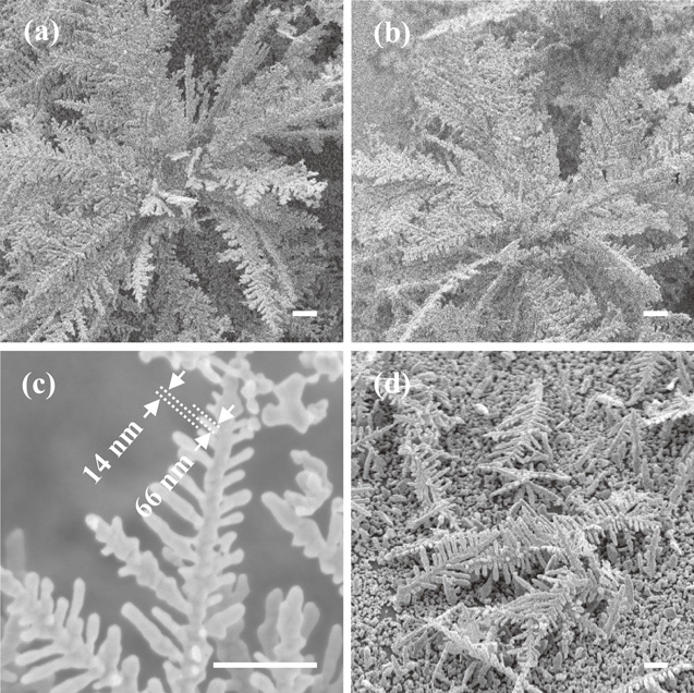 Extraction of three-dimensional silver nanostructures with ...
