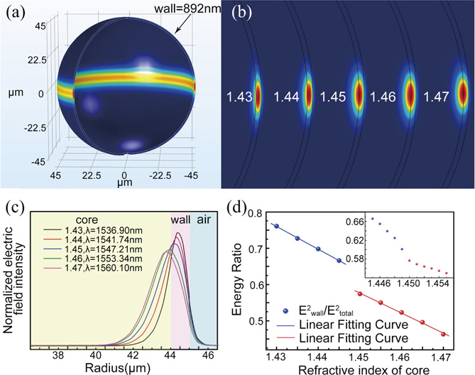 Whispering gallery mode resonance transfer in hollow microcavities ...