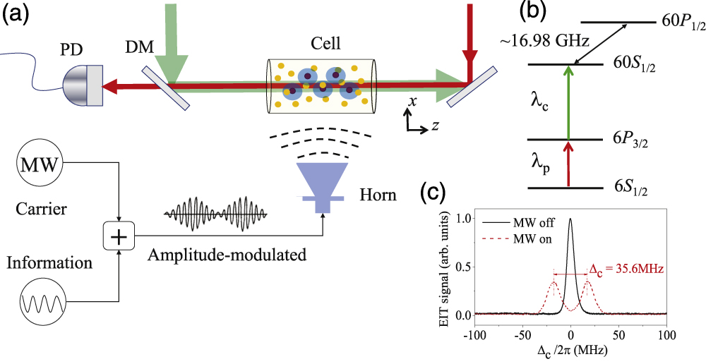 Atom-based receiver for amplitude-modulated baseband signals in high ...