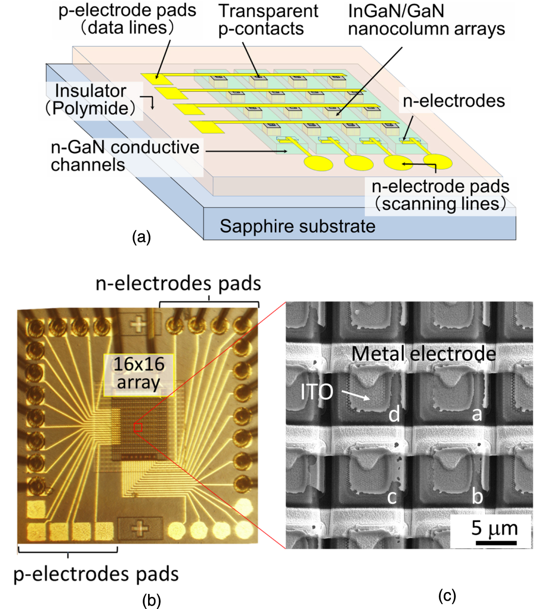 Two-dimensional multicolor (RGBY) integrated nanocolumn micro-LEDs as a ...