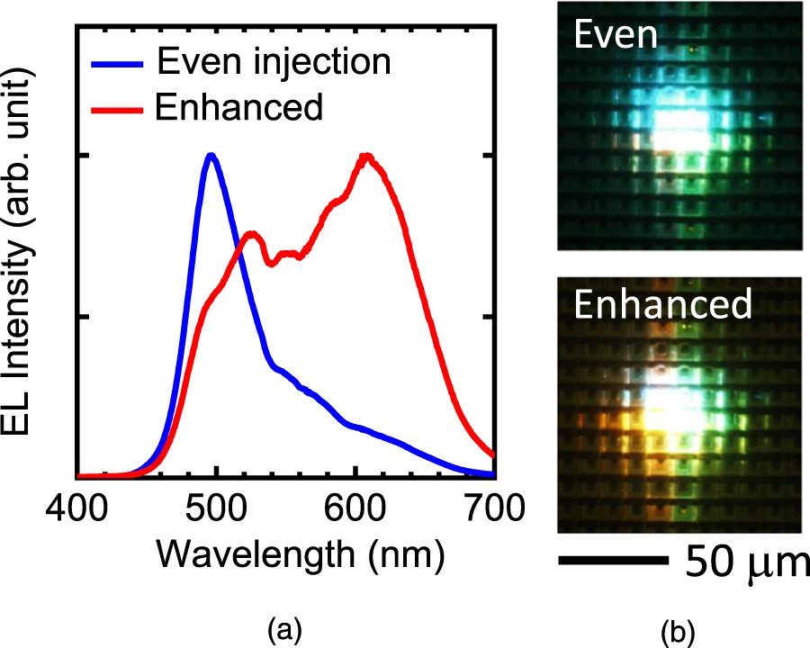 Two-dimensional multicolor (RGBY) integrated nanocolumn micro-LEDs as a ...