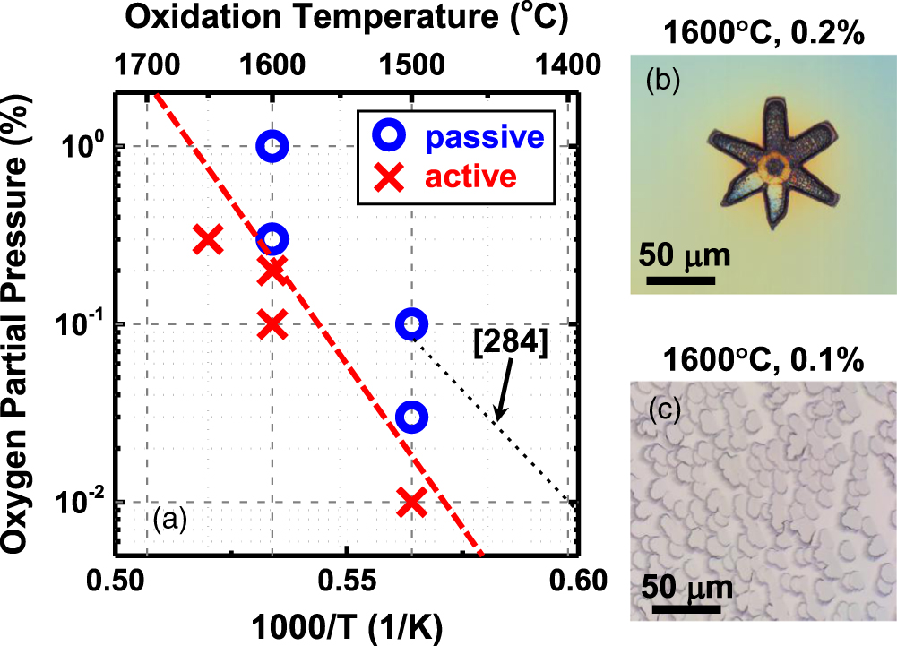 Defect engineering in SiC technology for high-voltage power devices ...