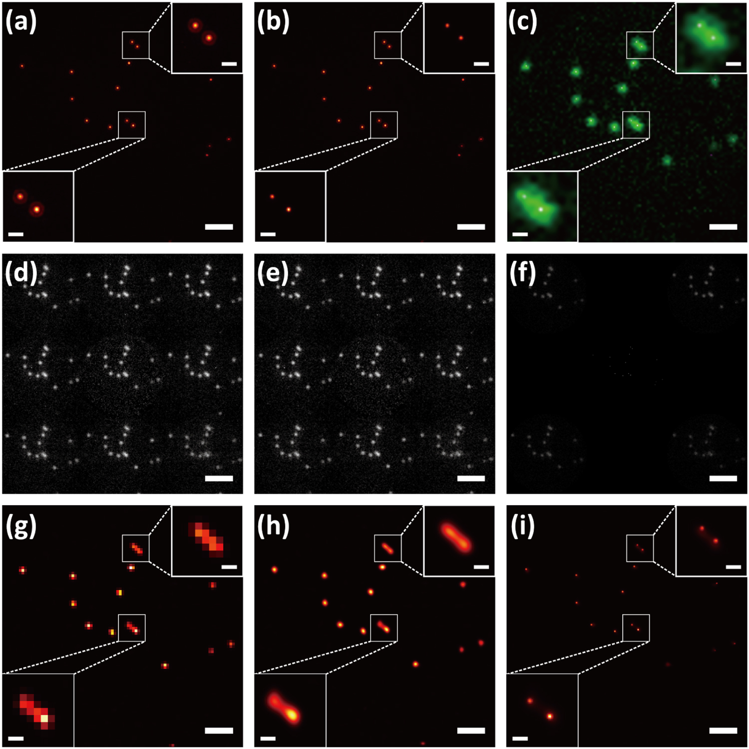 wFLFM: enhancing the resolution of Fourier light-field microscopy using ...