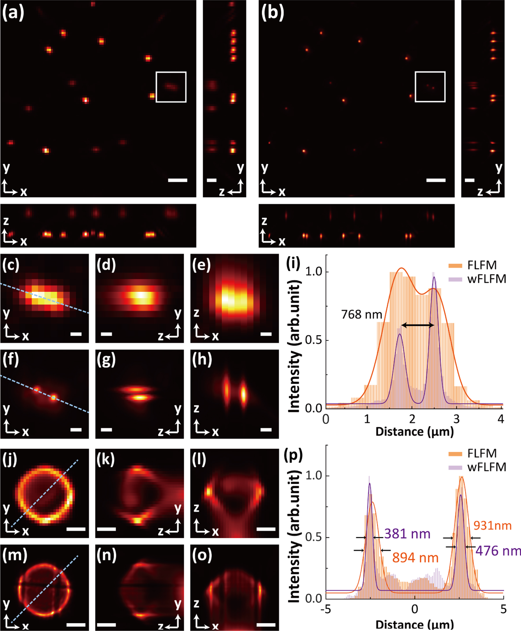 wFLFM: enhancing the resolution of Fourier light-field microscopy using ...