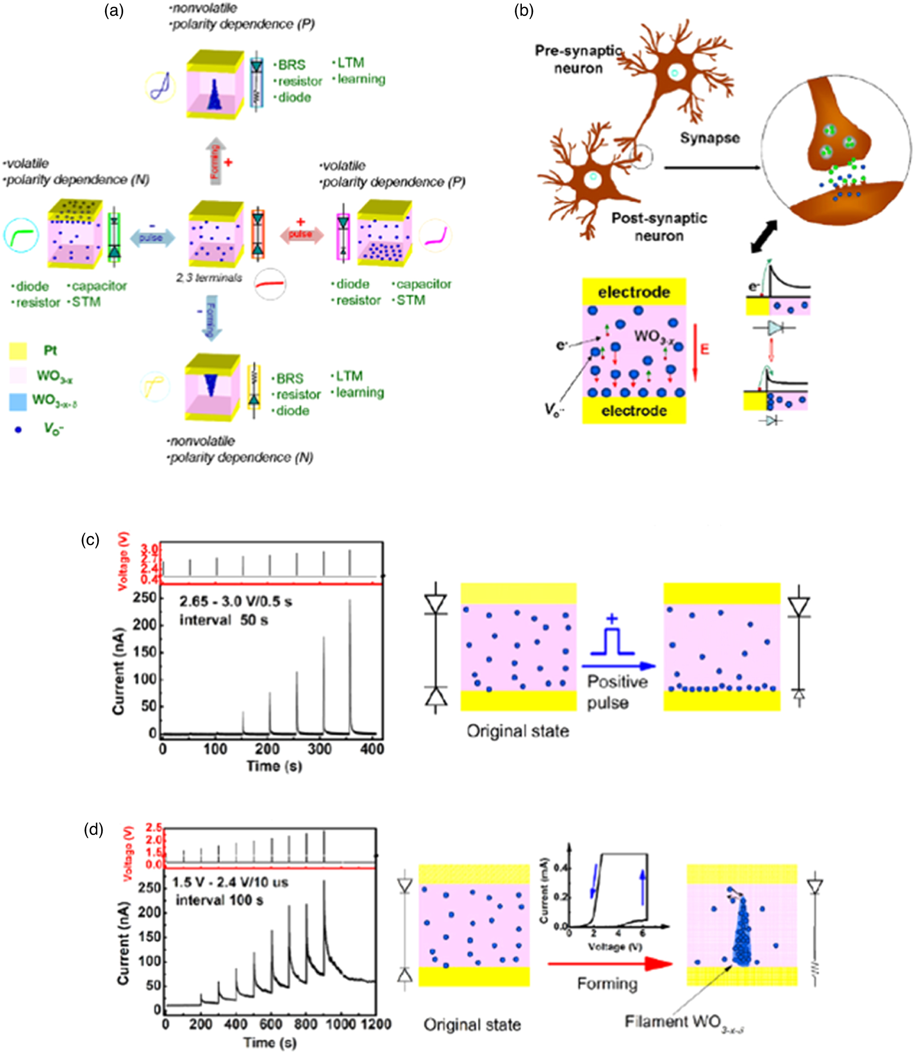 Nanoarchitectonics Intelligence with atomic switch and neuromorphic network system - IOPscience