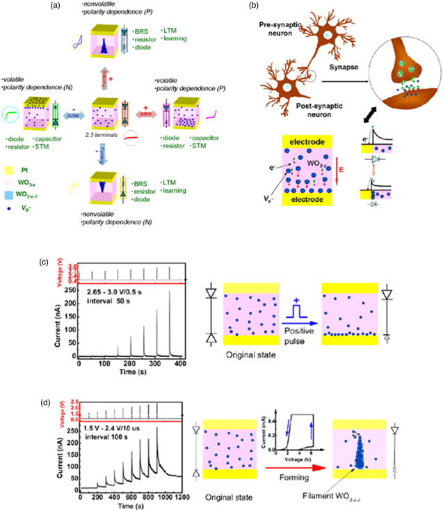 Nanoarchitectonics Intelligence with atomic switch and neuromorphic ...