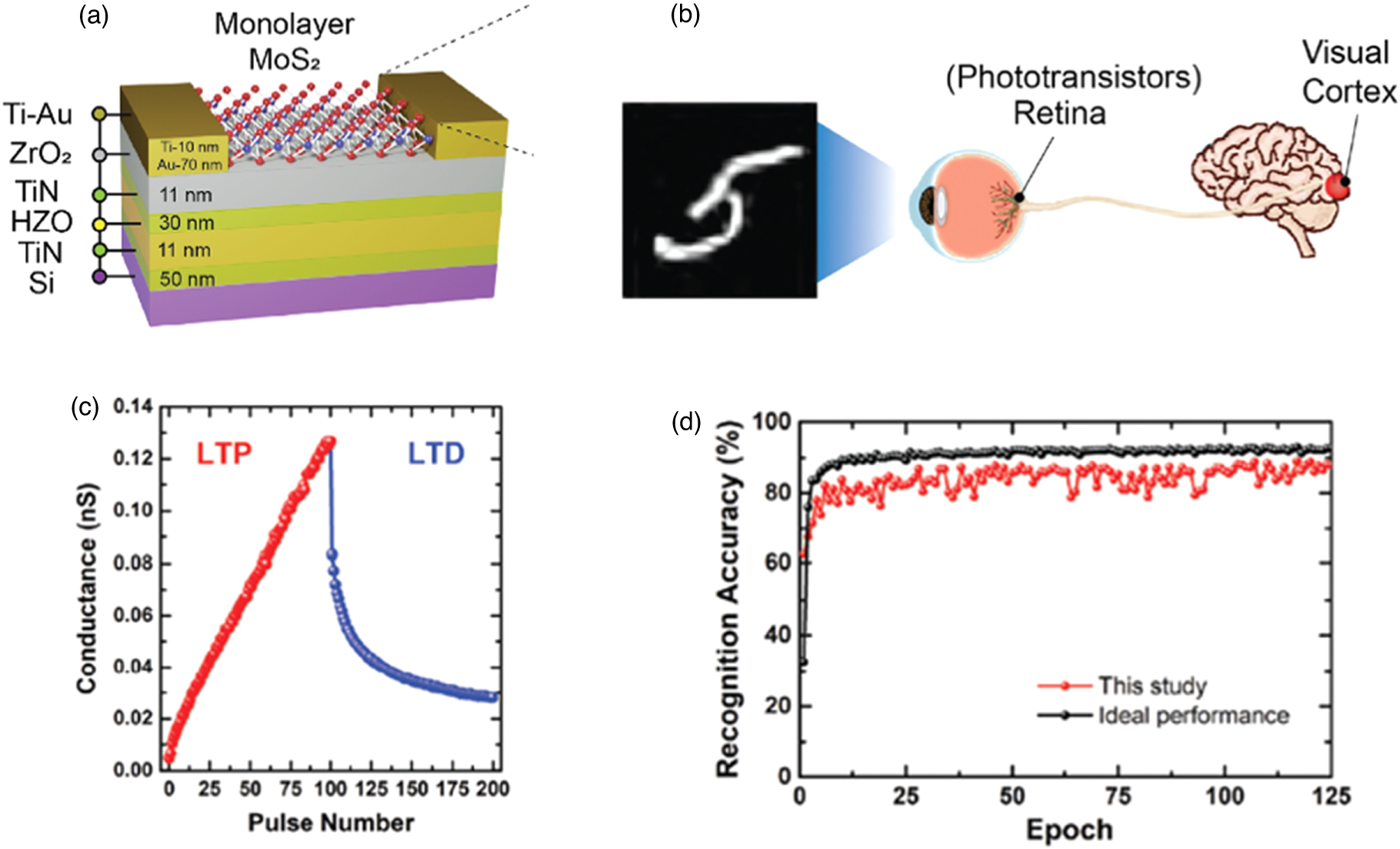 Nanoarchitectonics Intelligence with atomic switch and neuromorphic network system - IOPscience
