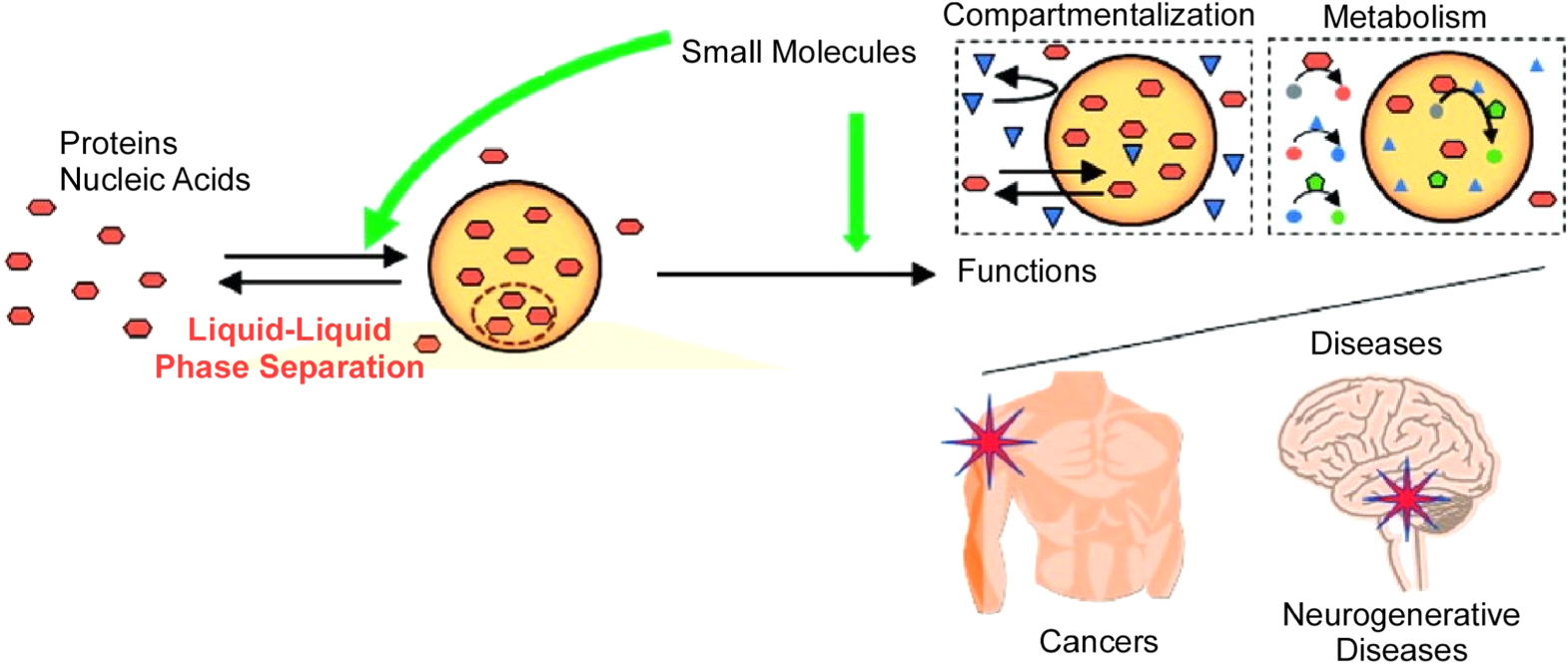 Nanoarchitectonics Intelligence with atomic switch and neuromorphic network system - IOPscience