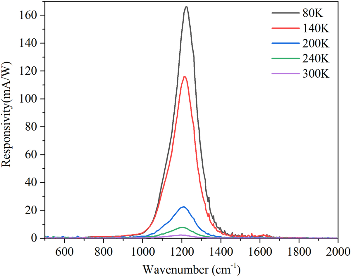 Quantum cascade detectors with enhanced responsivity using coupled ...