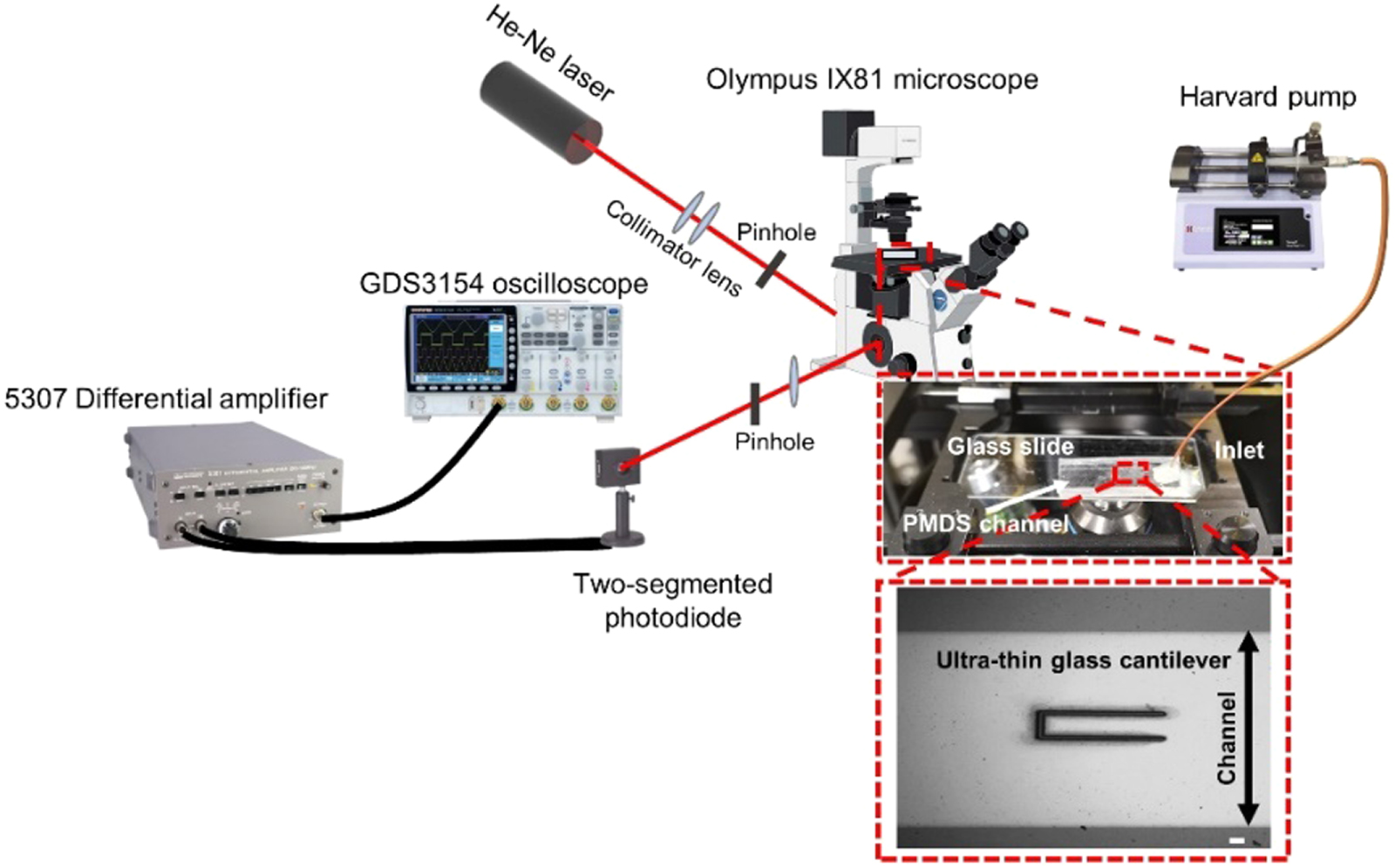 A gas flow velocity sensor fabricated with femtosecond laser using 4 μm ...