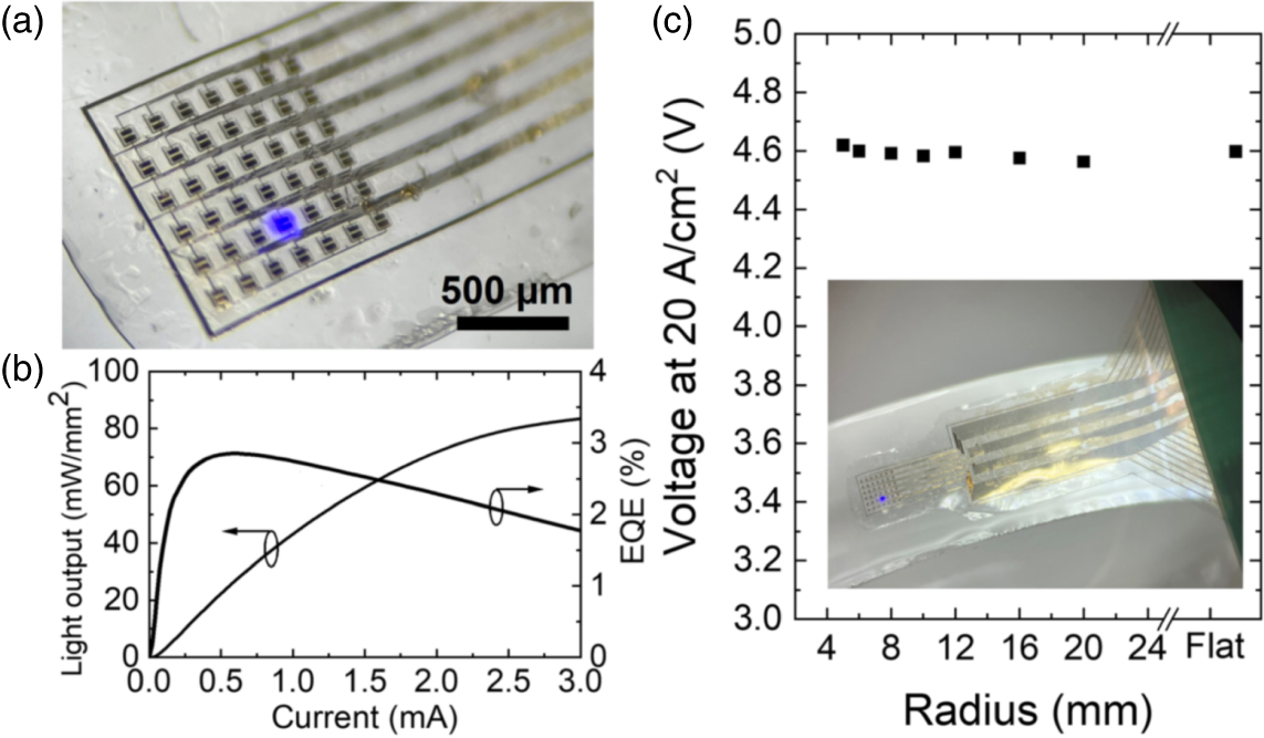 Adhesionable flexible GaN-based microLED array film to brain surface ...