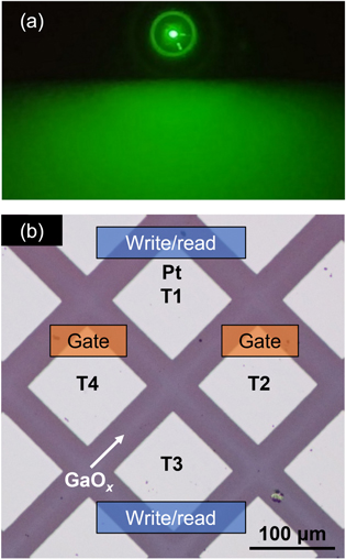 Gate-tunable plasticity in artificial synaptic devices based on four ...