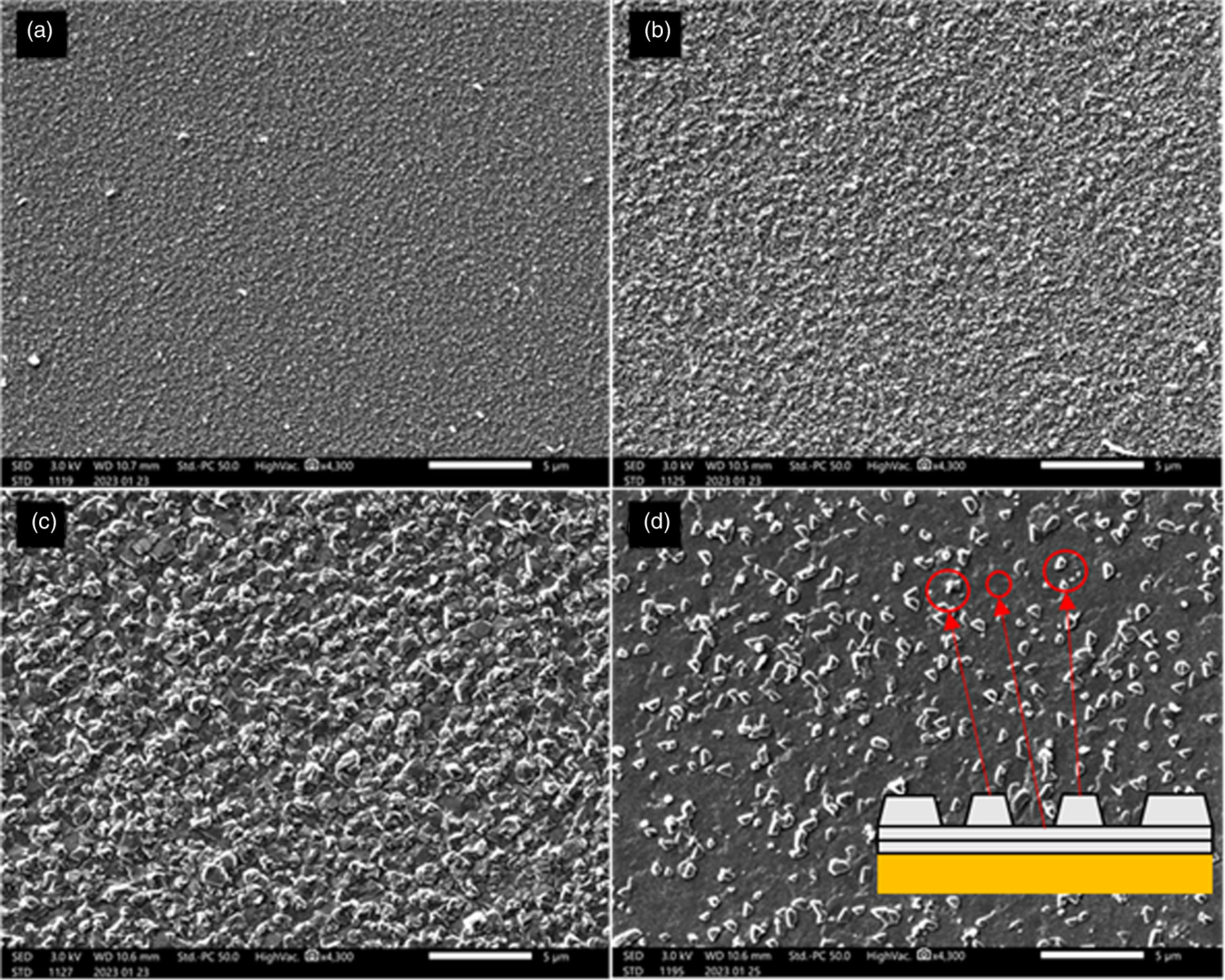 Heteroepitaxial growth of β-Ga2O3 thin films on single crystalline ...