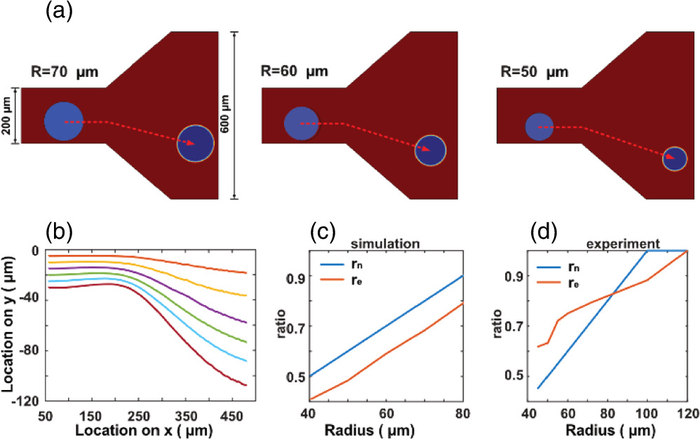 High accuracy size-based droplet separation with pinched flow ...