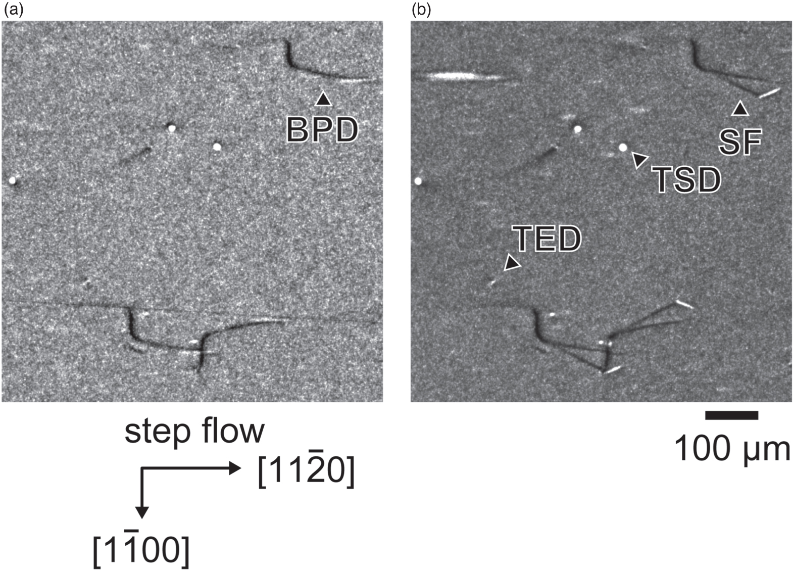 Suppression of partial dislocation glide motion during contraction of ...