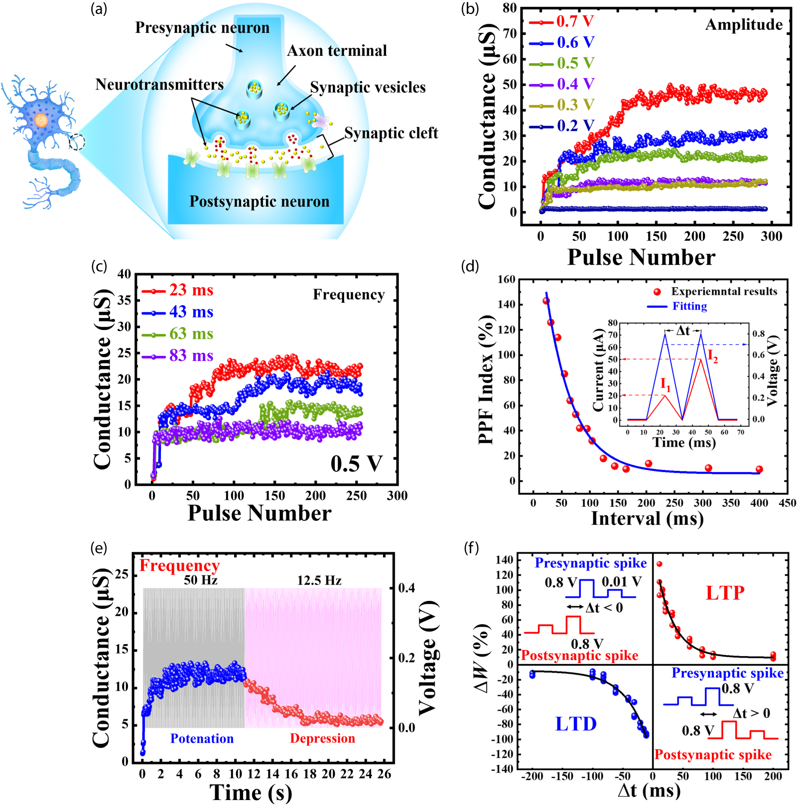 Demonstration of electronic synapses using a sericin-based bio ...