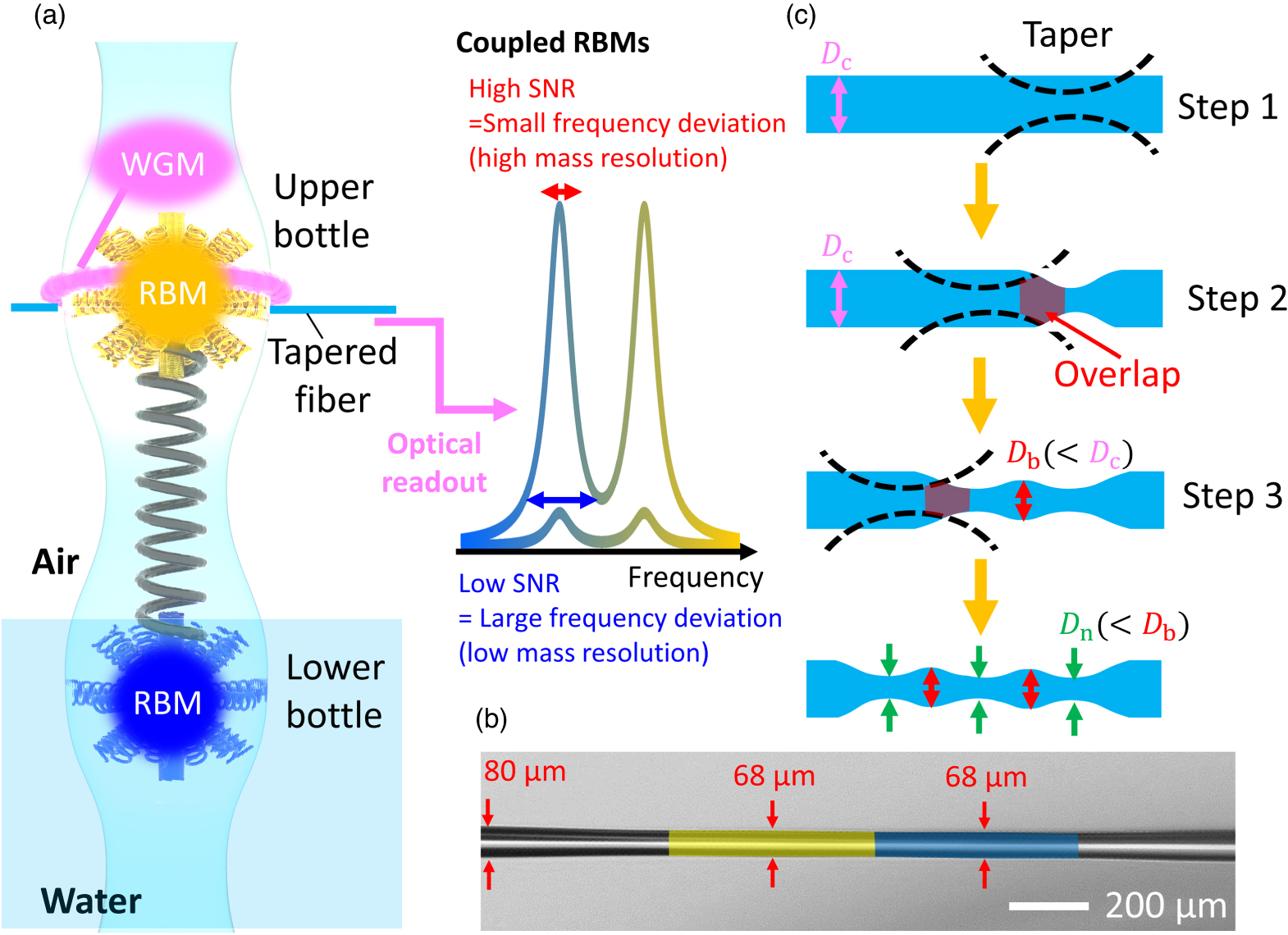 Cavity optomechanical mass sensor in water with sub-femtogram ...