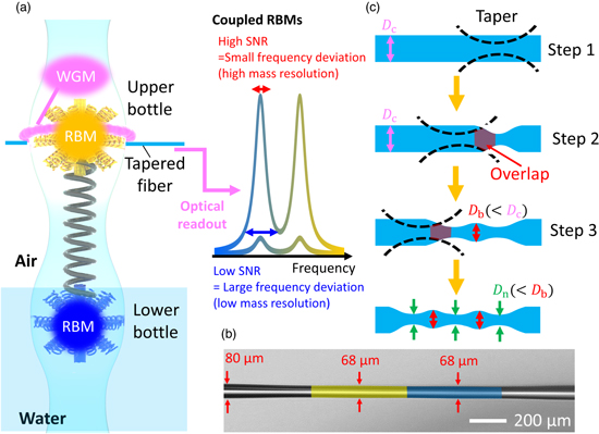 Cavity optomechanical mass sensor in water with sub-femtogram ...
