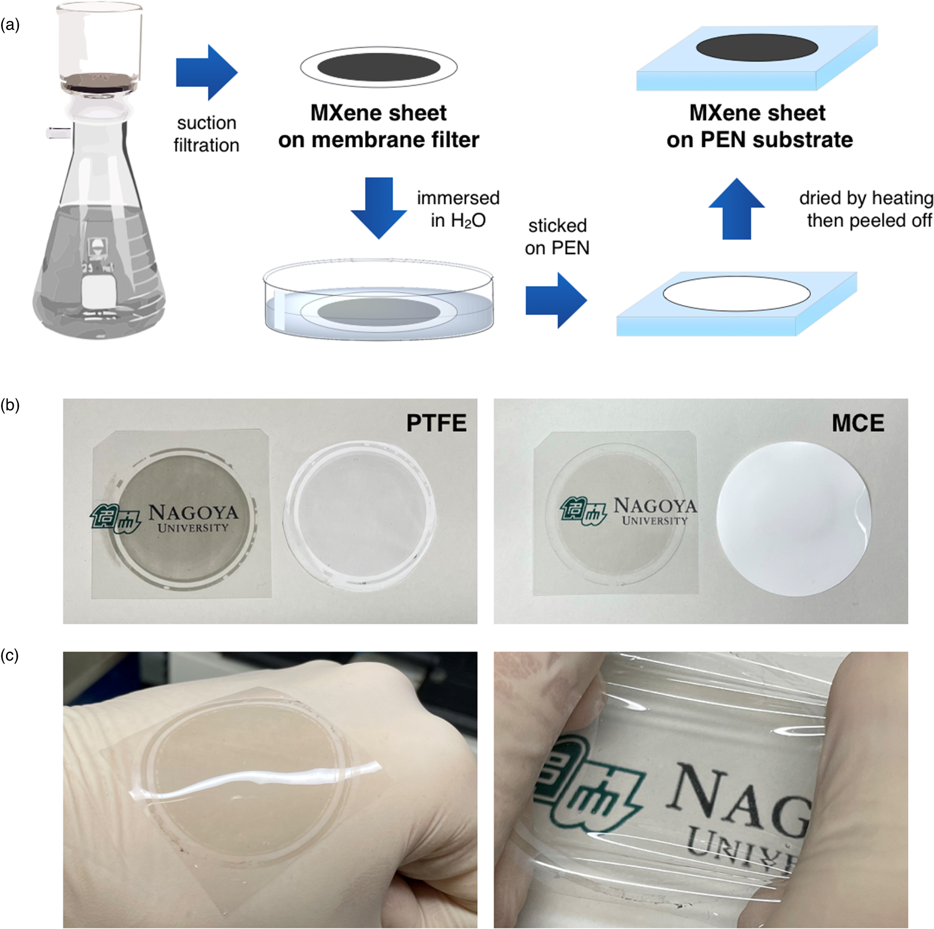 Fabrication of MXene transparent conductive films via transfer process ...