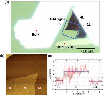 Helicity-resolved Raman spectroscopy of mono- and a few-layers-thick ...
