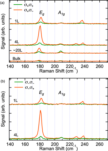 Helicity-resolved Raman spectroscopy of mono- and a few-layers-thick ...