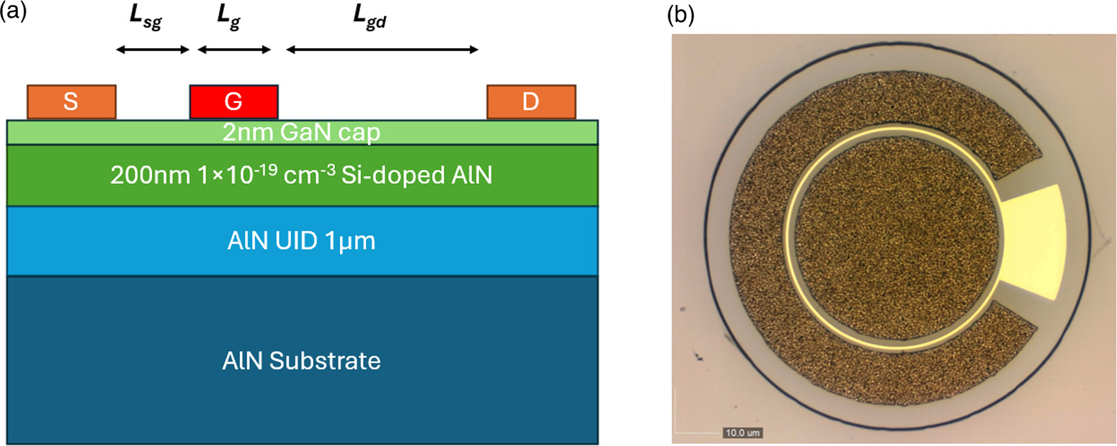 High-voltage kV-class AlN metal-semiconductor field-effect transistors ...