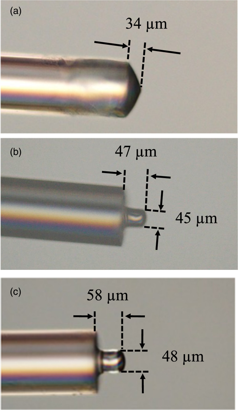 Flexible light-induced self-written optical waveguide with 50 μm core ...