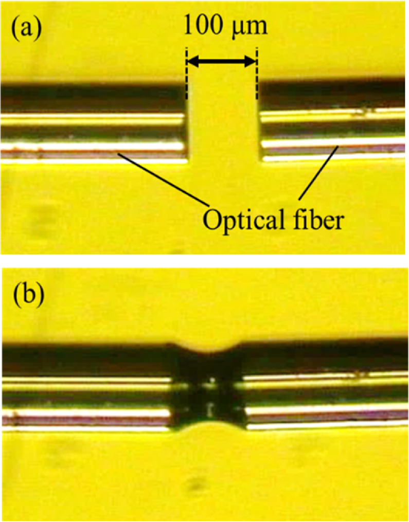 Flexible light-induced self-written optical waveguide with 50 μm core ...