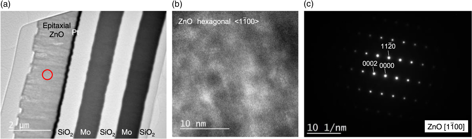 Epitaxial ZnO piezoelectric layer on SiO2/Mo solidly mounted resonator ...