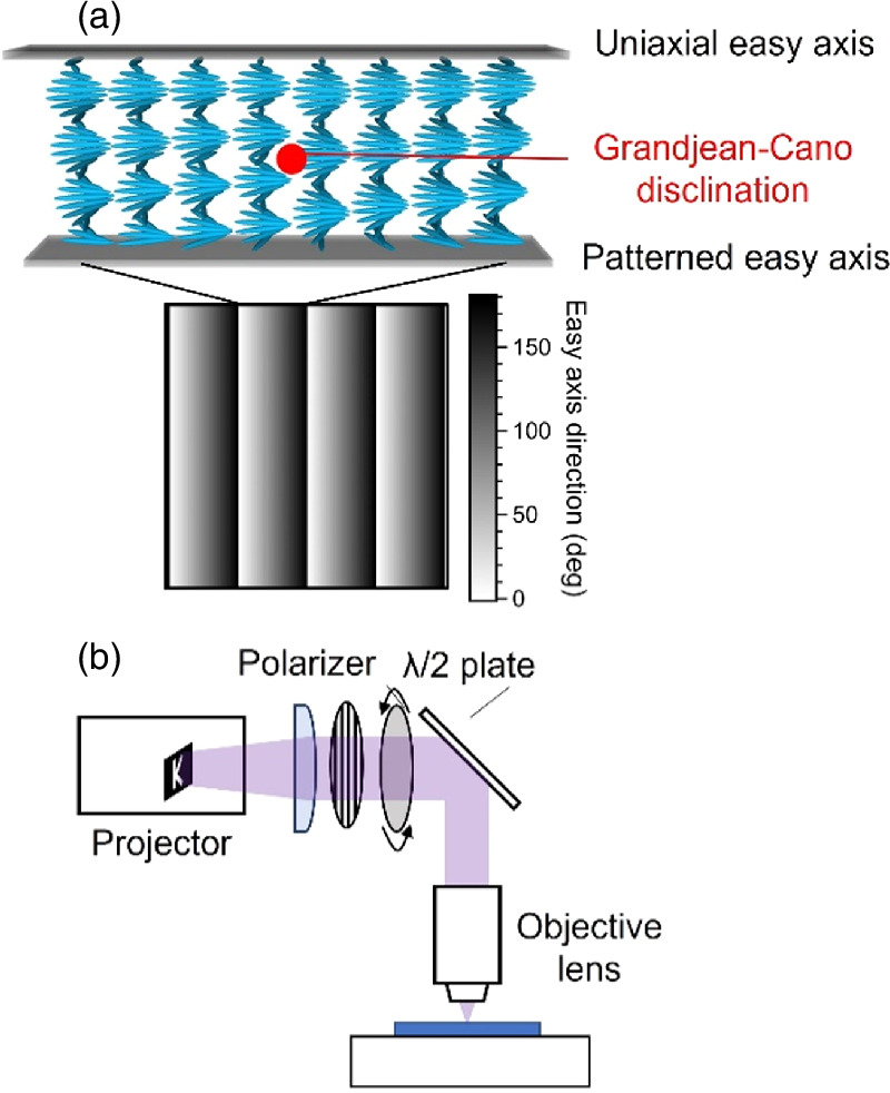Selective phase transition of cholesteric blue phase I induced by ...