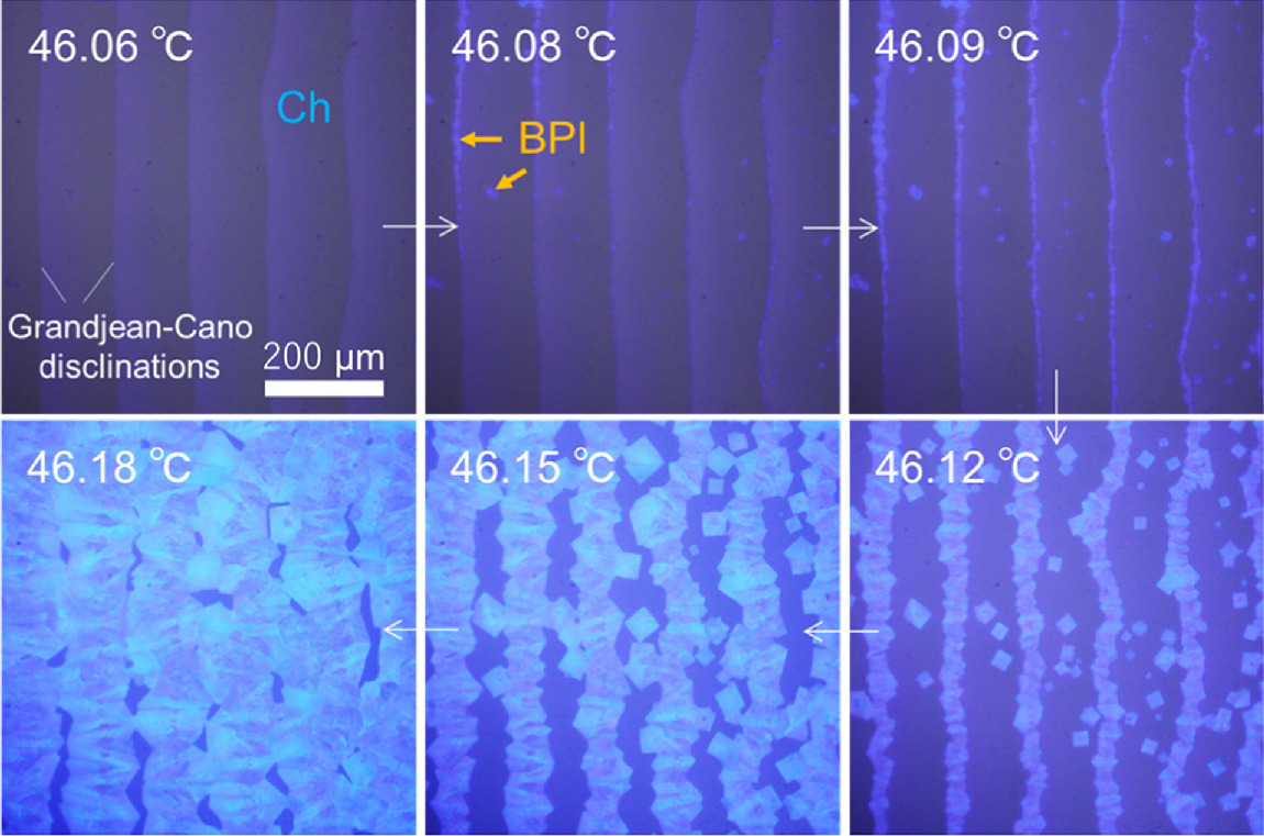 Selective phase transition of cholesteric blue phase I induced by ...