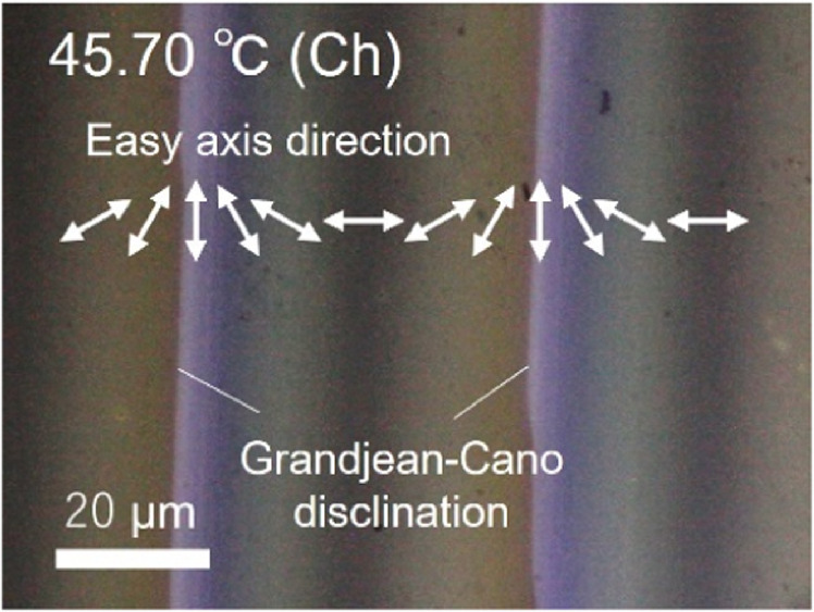 Selective phase transition of cholesteric blue phase I induced by ...