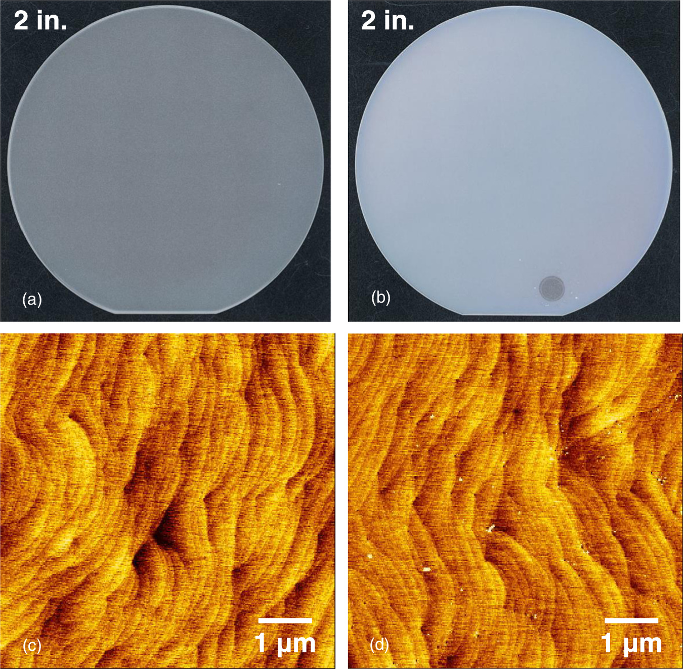 Fabrication of free-standing GaN substrates using electrochemically ...