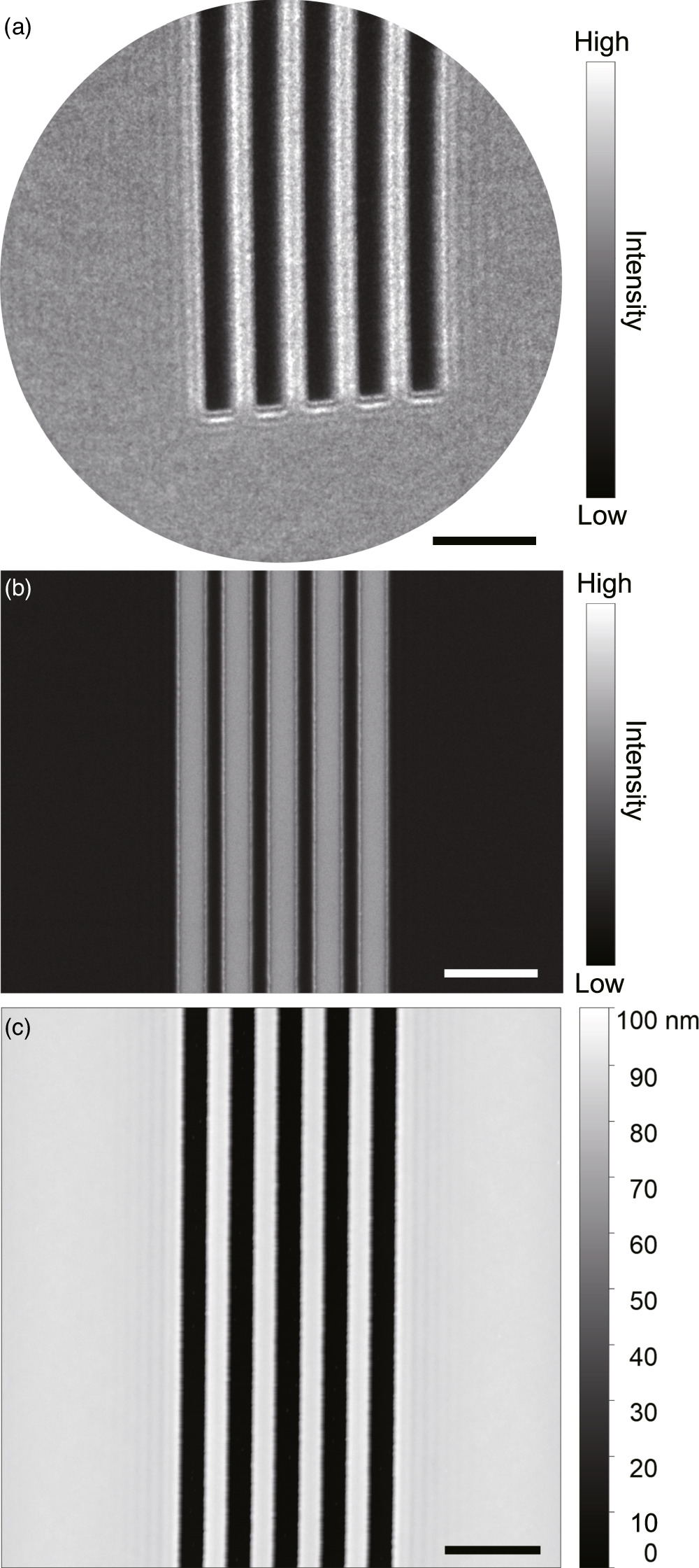 High throughput observation of latent images on resist using laser ...