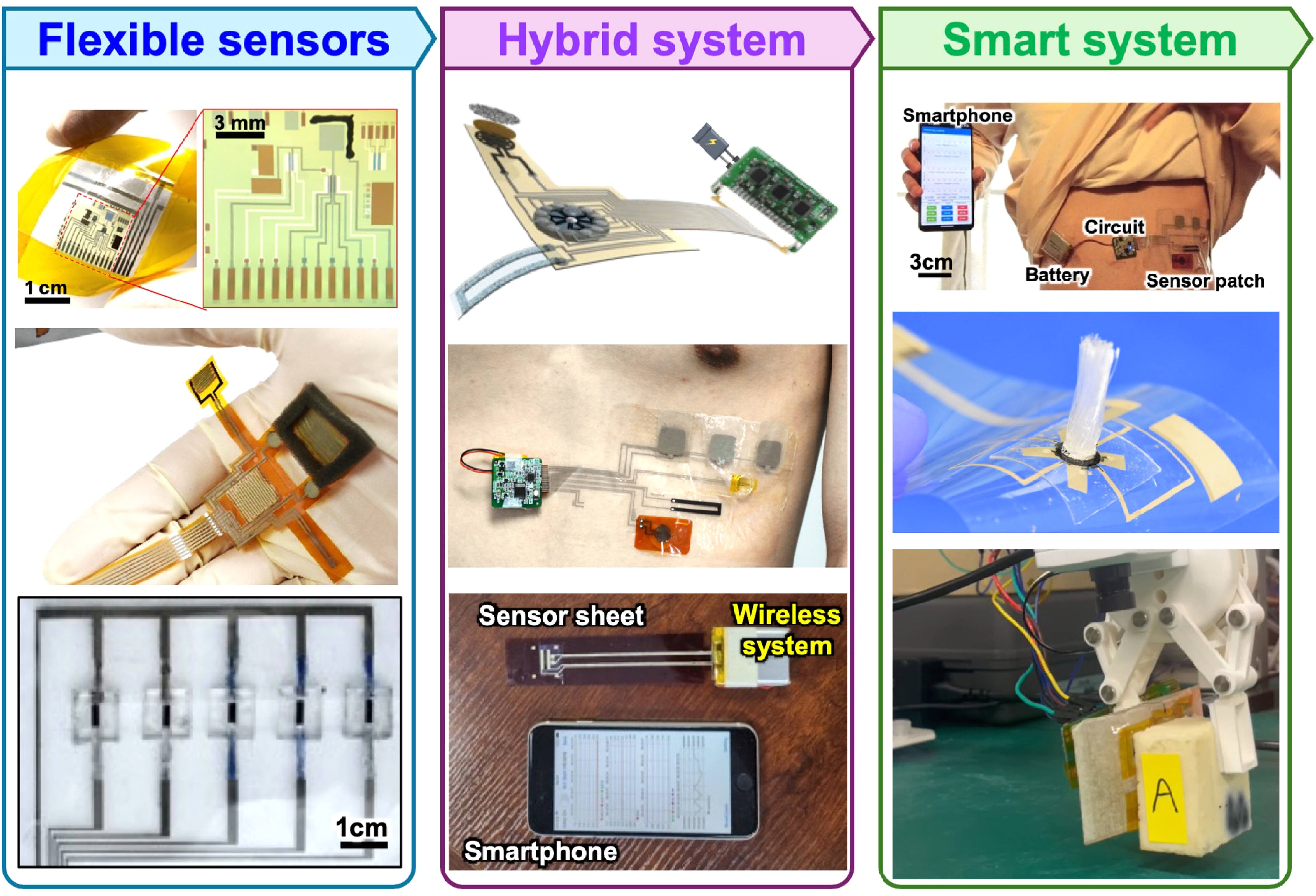 Multimodal flexible sensors for edge AI system - IOPscience