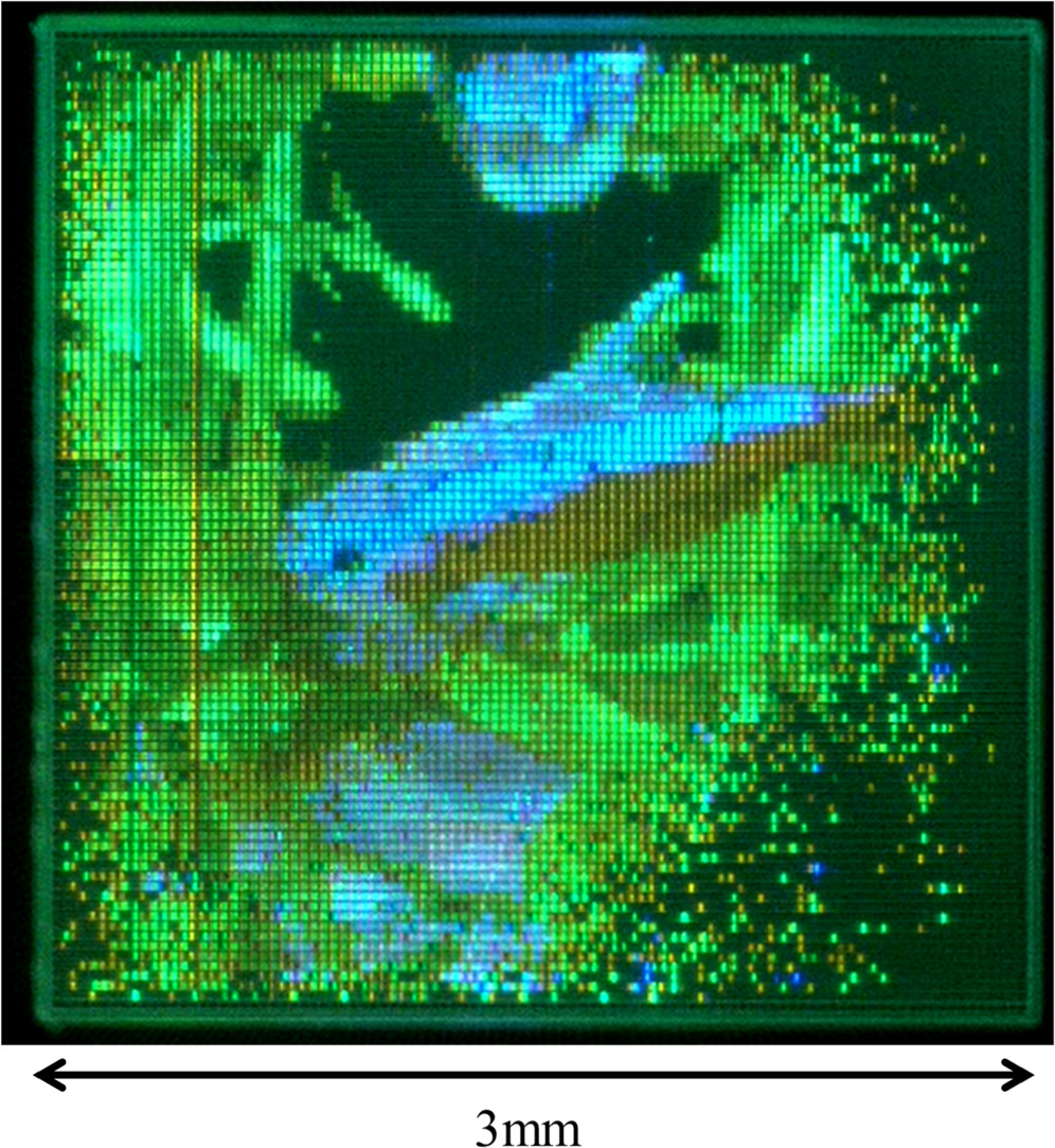 Demonstration of InGaN full-color monolithic micro-LED display using ...