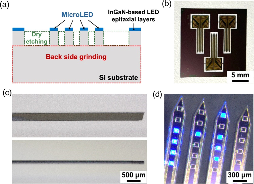 Hybrid probe combining MicroLED and neural electrode for precise neural ...