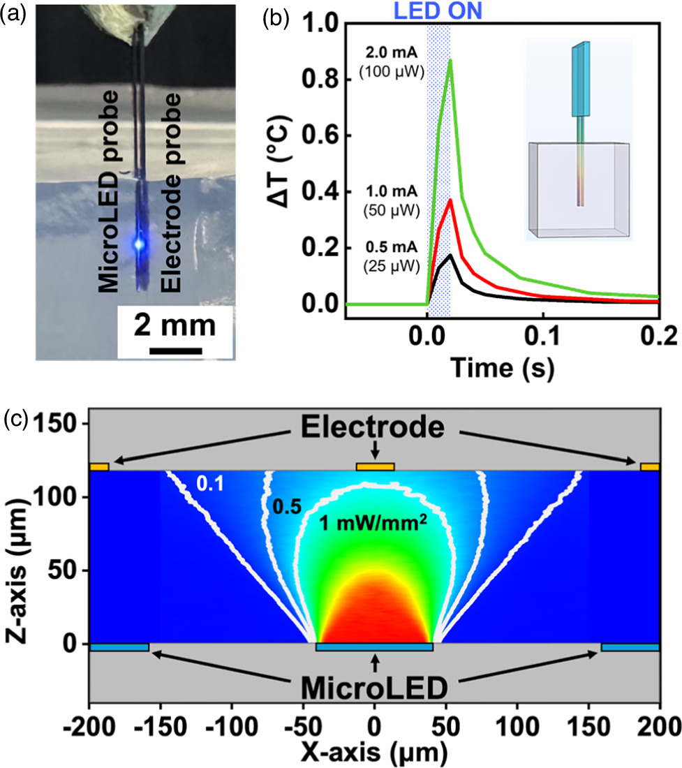 Hybrid probe combining MicroLED and neural electrode for precise neural modulation and multi ...
