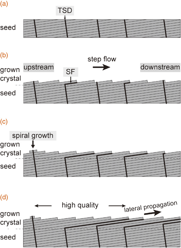 Low-dislocation-density 4H-SiC crystal growth utilizing dislocation ...