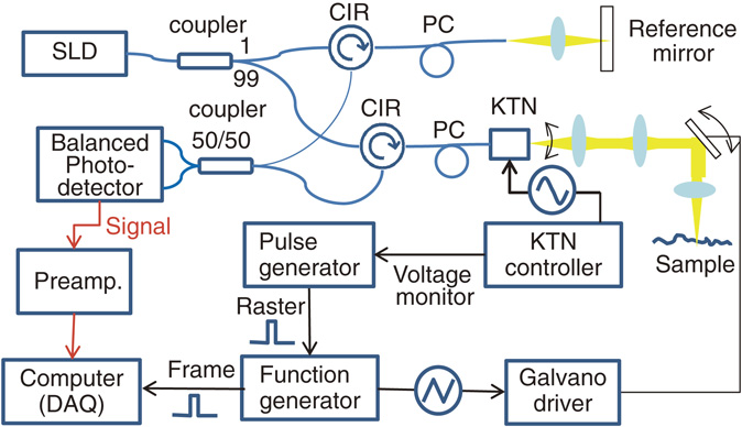 Development of novel high-speed en face optical coherence tomography ...